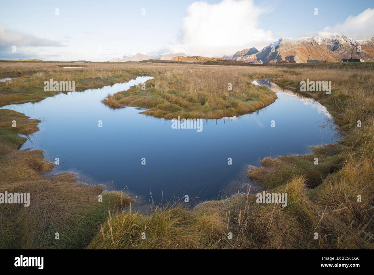 meander in a meadow north of the lofoten islands Stock Photo - Alamy