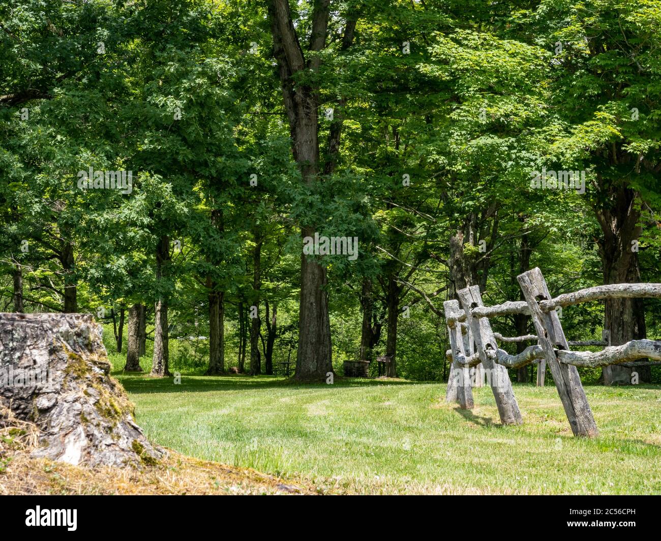 Tree stump and wooden fence in front of a wooded tree line with a green ...