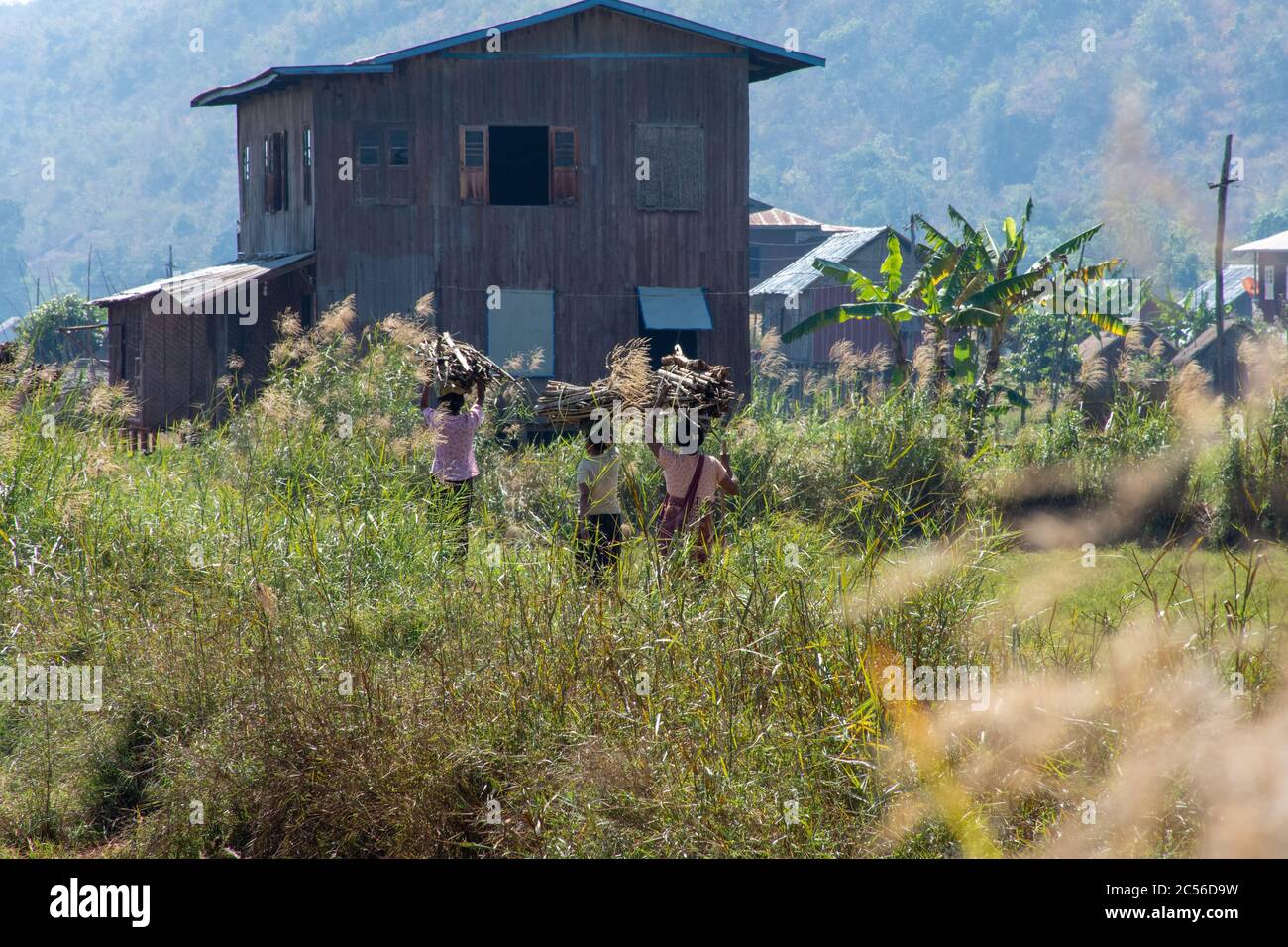 country side scenery in Myanmar Stock Photo - Alamy