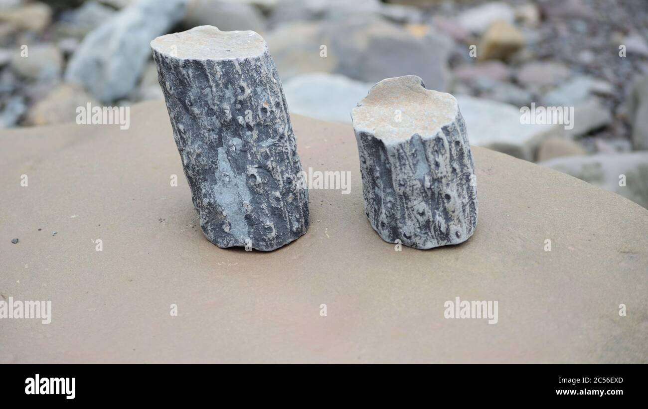 Prehistoric pile hi-res stock photography and images - Alamy