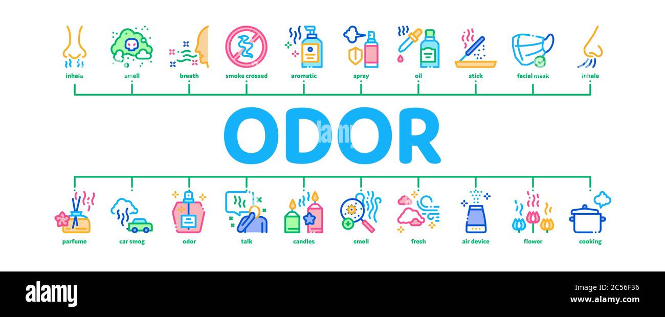 Odor Aroma And Smell Minimal Infographic Banner Vector Stock Vector ...