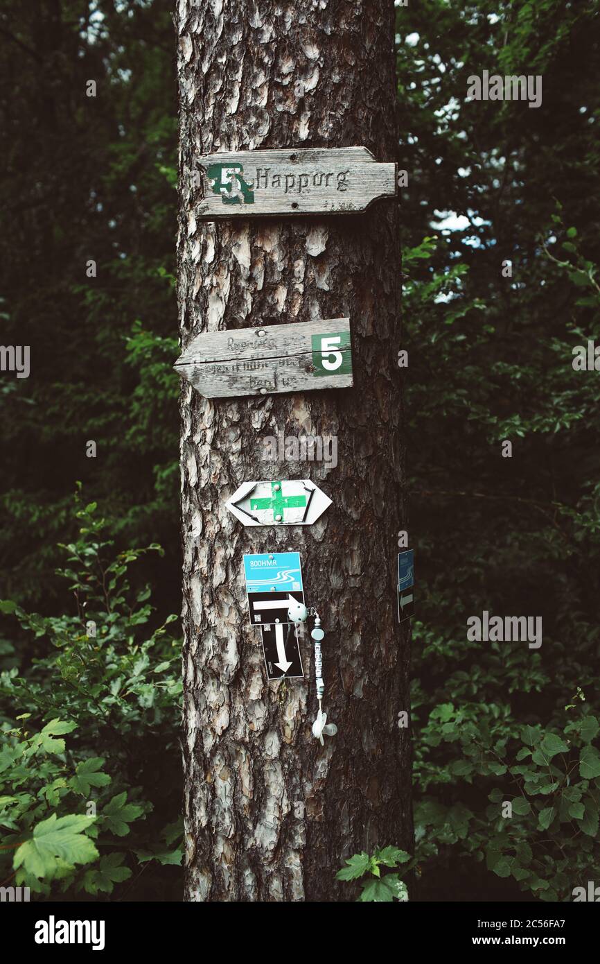 Vertical image of arrows and signs attached on a tree trunk Stock Photo ...