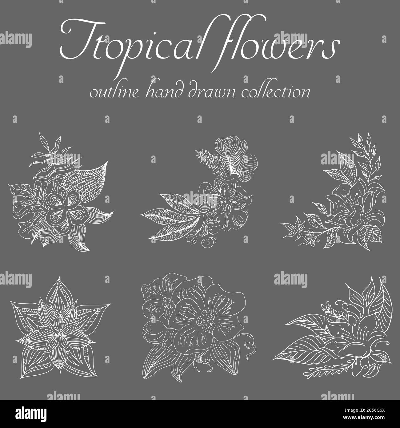 Tropical flowers. Outline hand drawn bundle. Outline vector collection ...