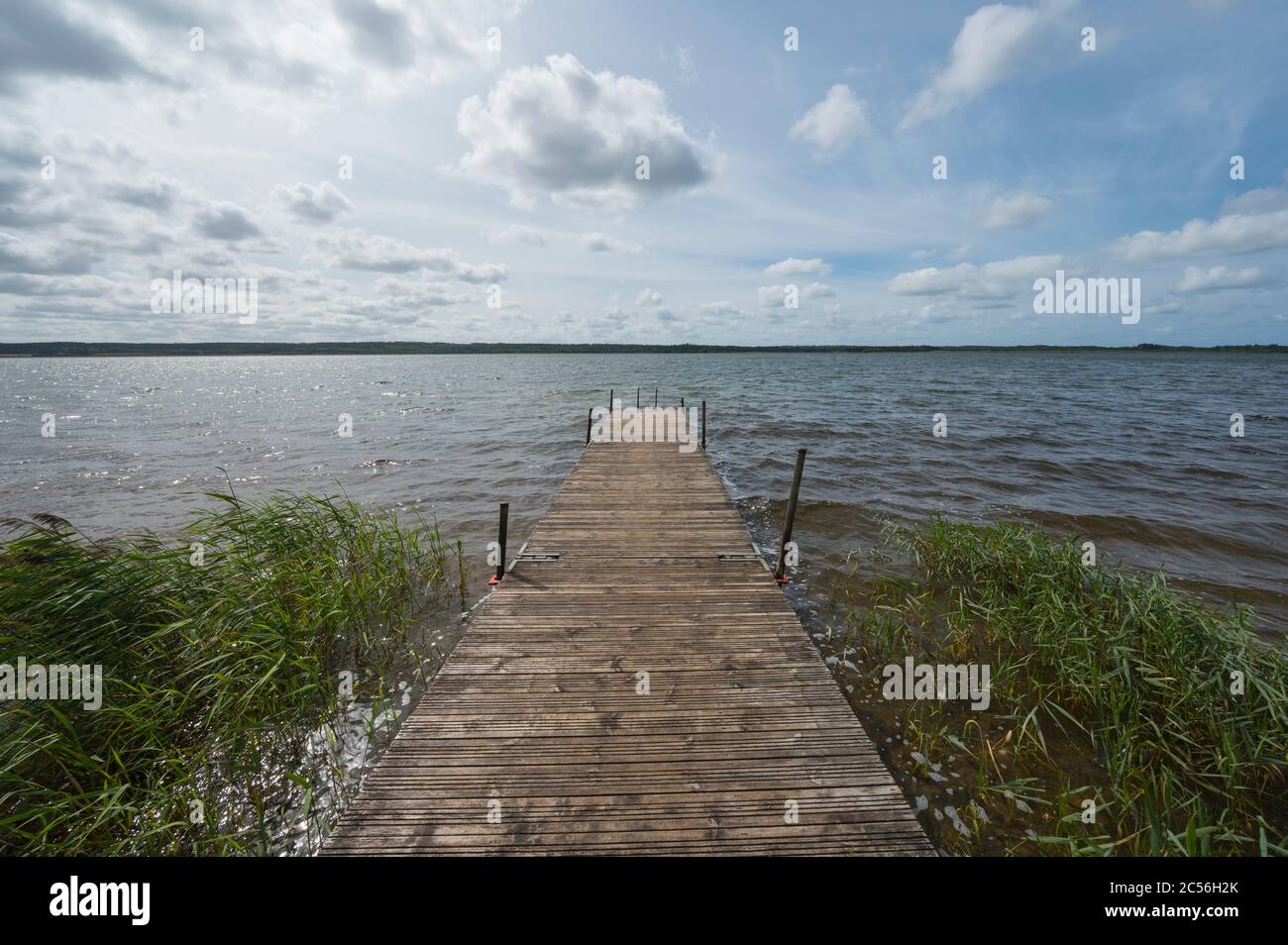 Lake with wooden jetty and reeds in summer, Vandet So, Thisted ...