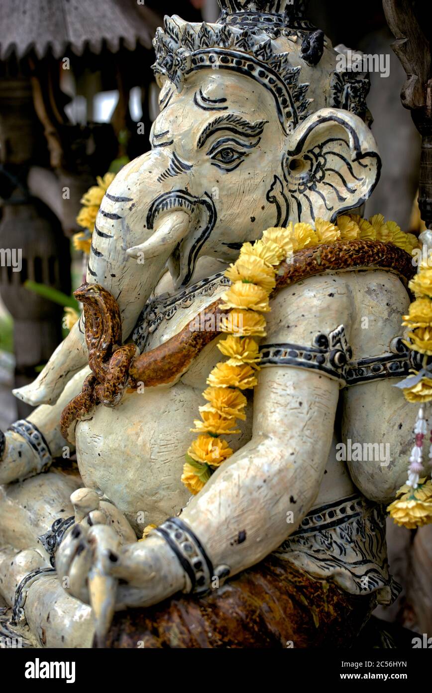 Elephant headed hi-res stock photography and images - Alamy