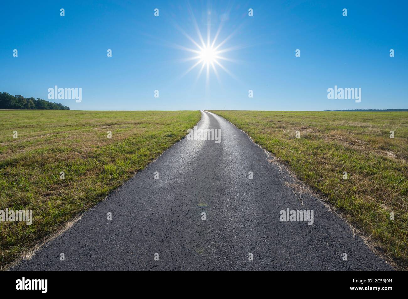 Road with sun in summer Stock Photo - Alamy