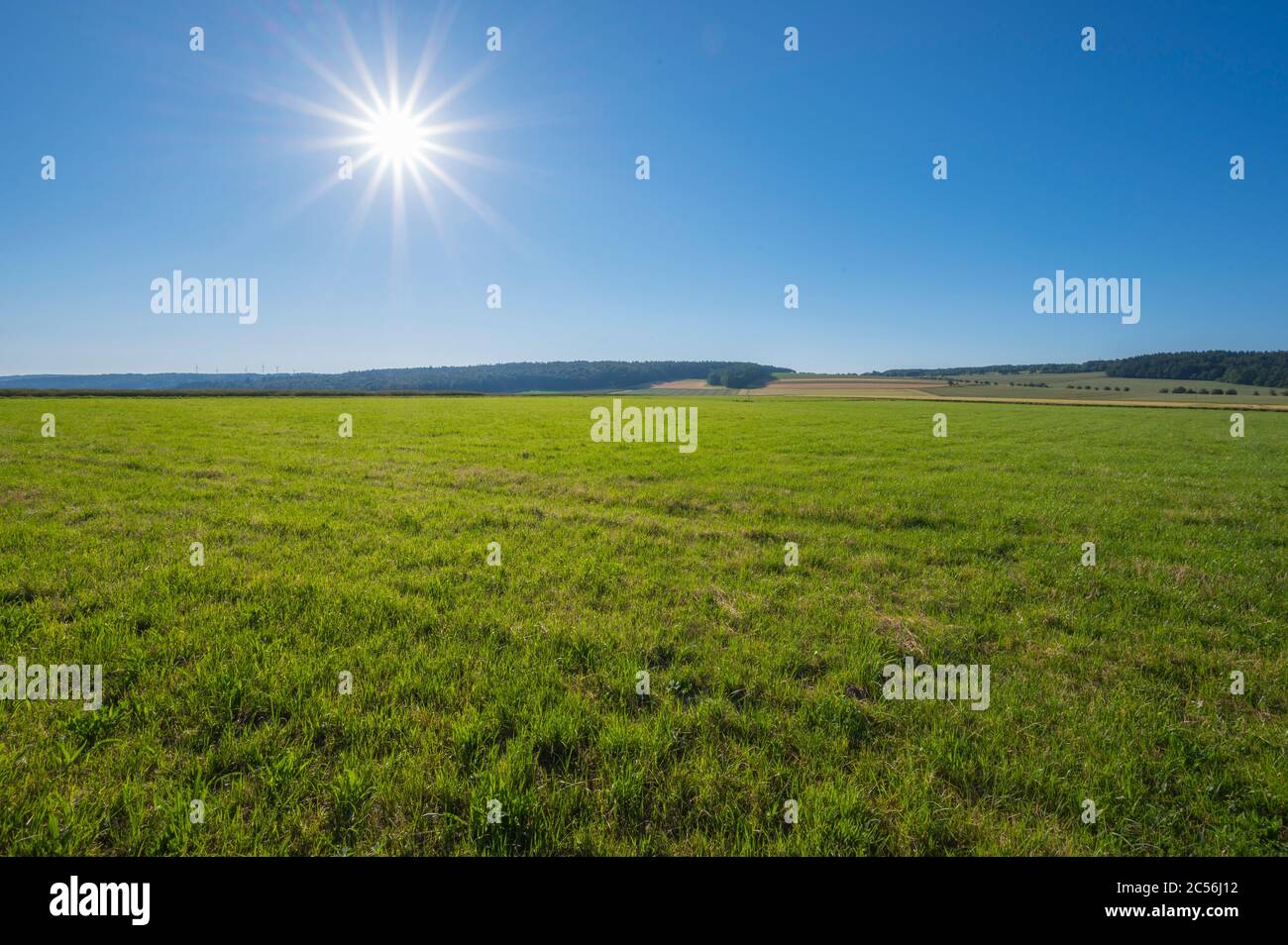 Meadow with sun in summer Stock Photo - Alamy