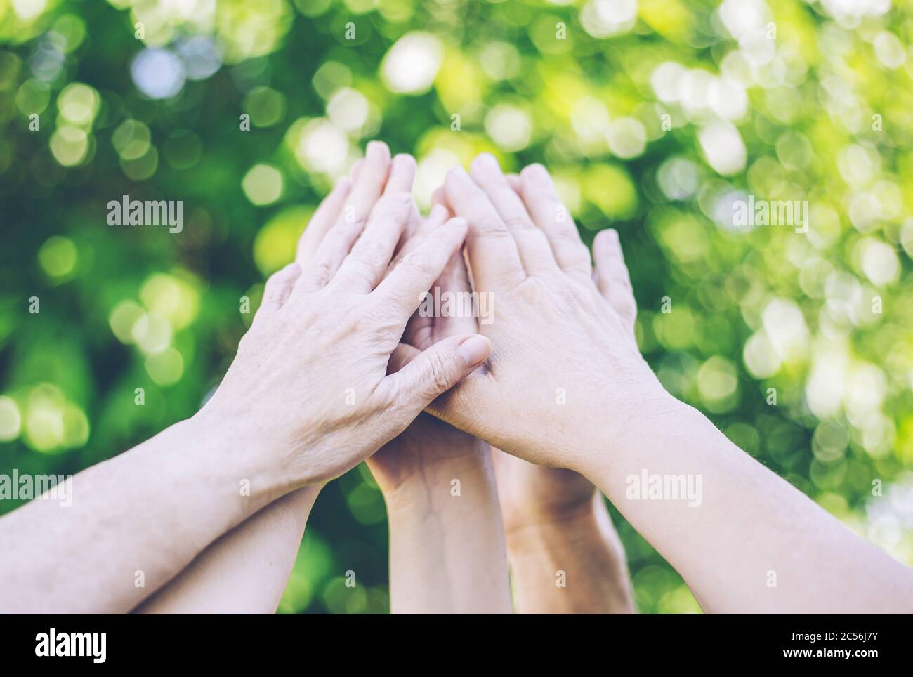 Closeup of several hands touching one another on a blurred green ...