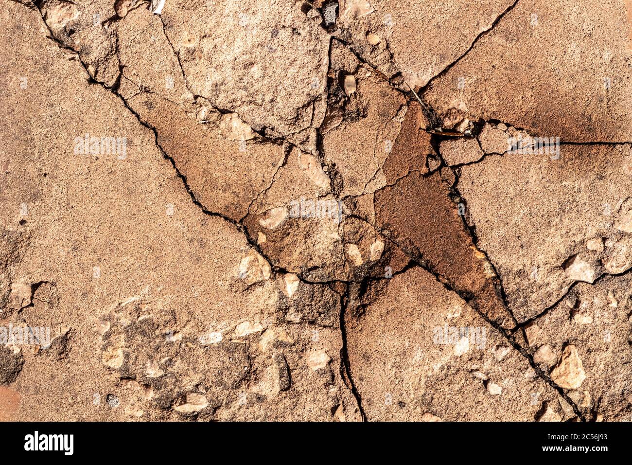 Cracked old concrete paving slabs of a garden path Stock Photo - Alamy