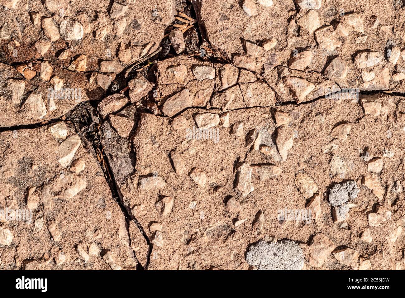 Cracked old concrete paving slabs of a garden path Stock Photo - Alamy