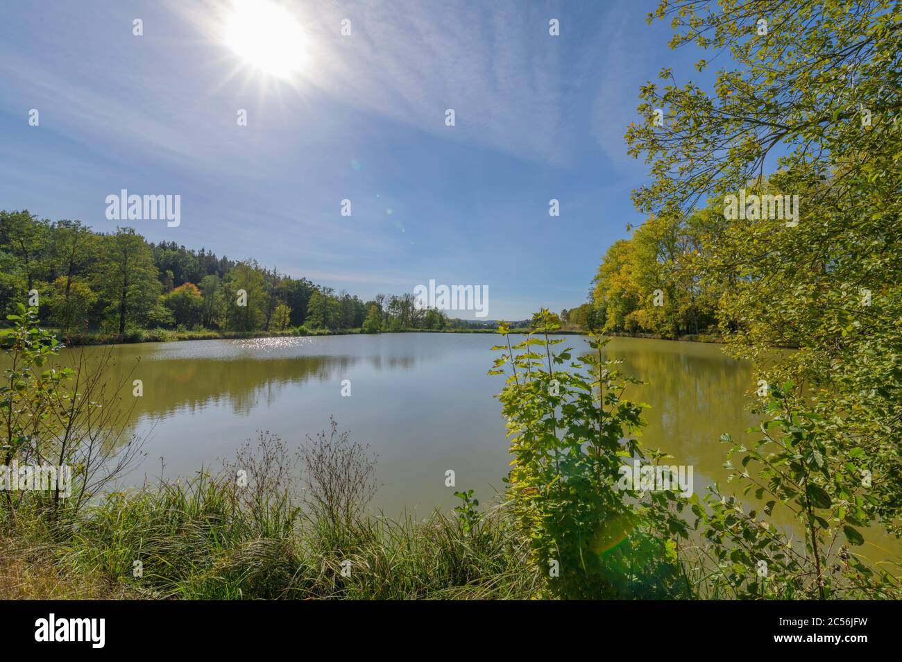 Clear water ponds hi-res stock photography and images - Alamy