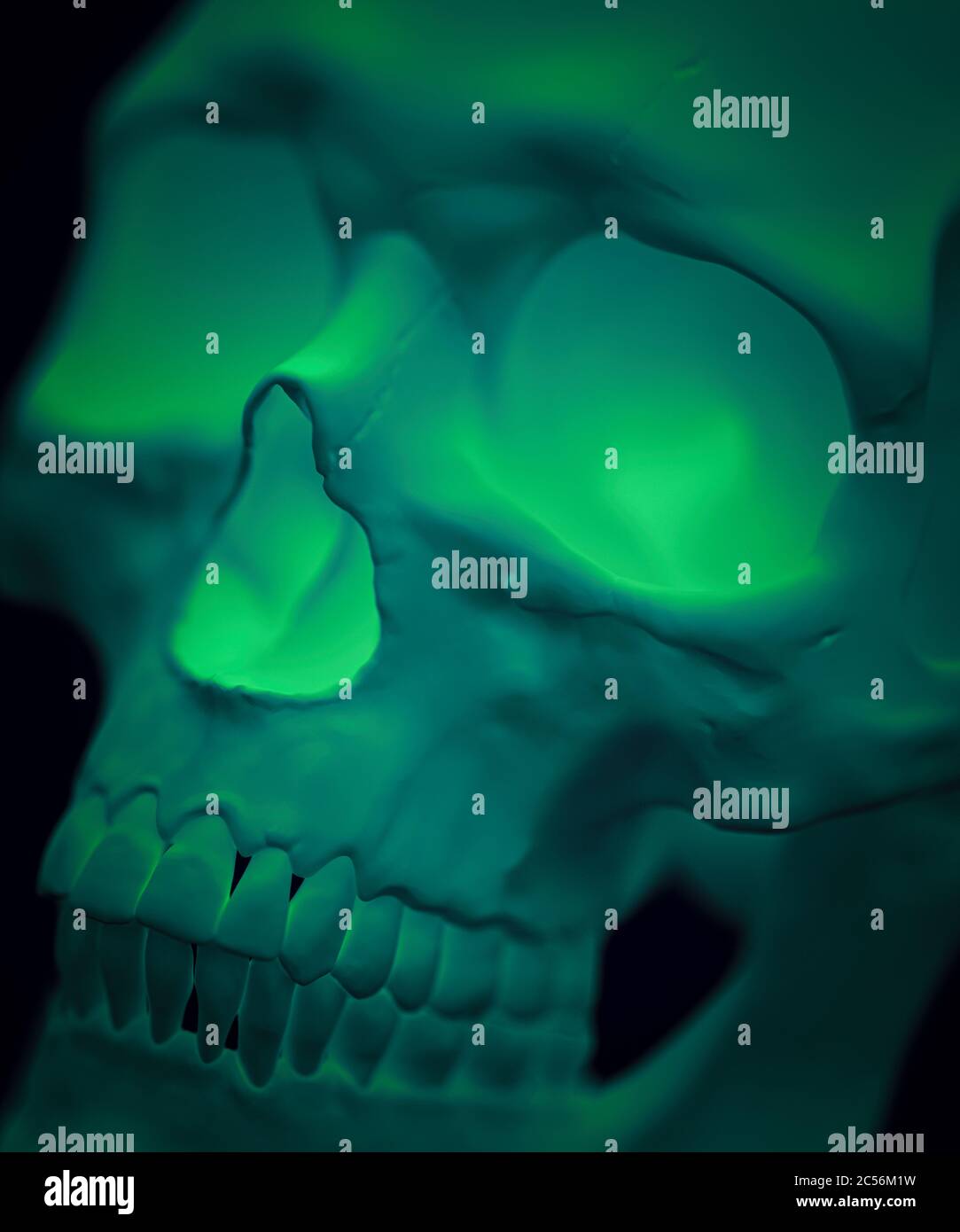Skull, horror, death, creepy, spooky, CGI Stock Photo - Alamy
