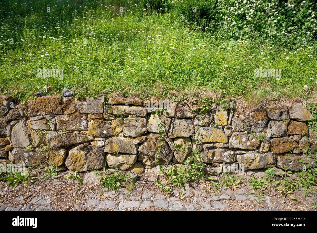natural stone wall with meadow above to support a slope Stock Photo - Alamy