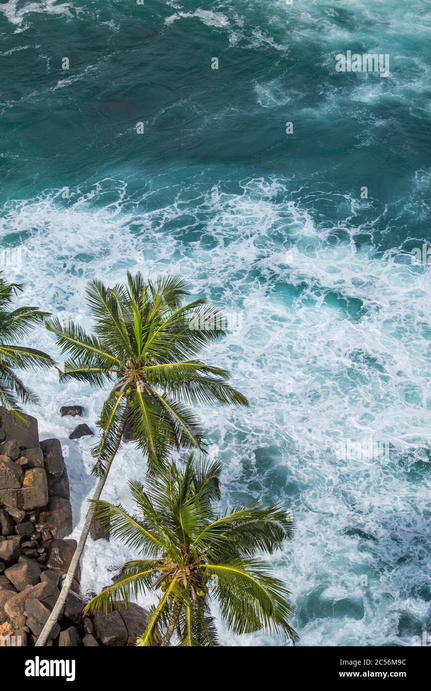 Agitated birds hi-res stock photography and images - Alamy