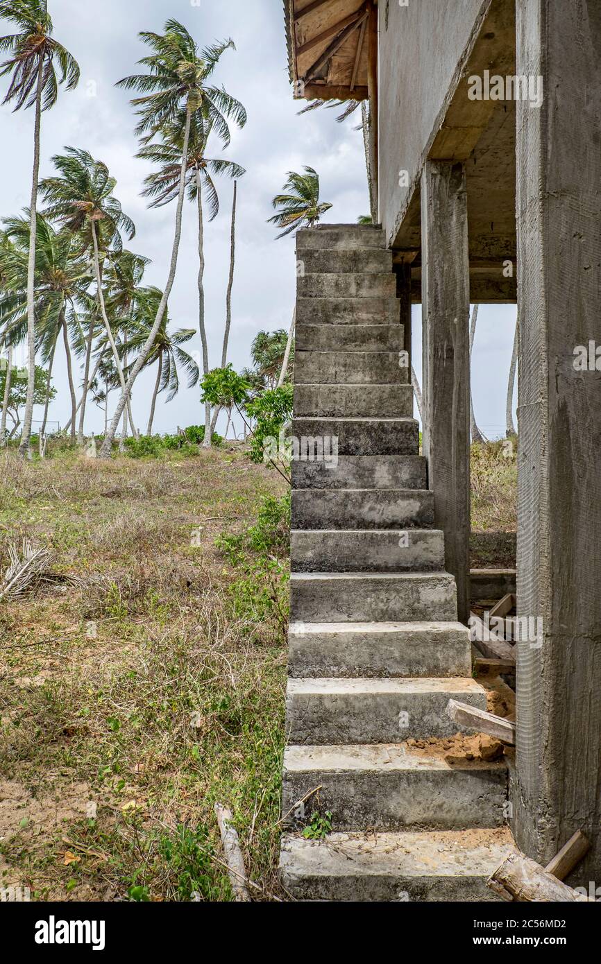 Stairs on a ruin on an open area with few palm trees Stock Photo - Alamy