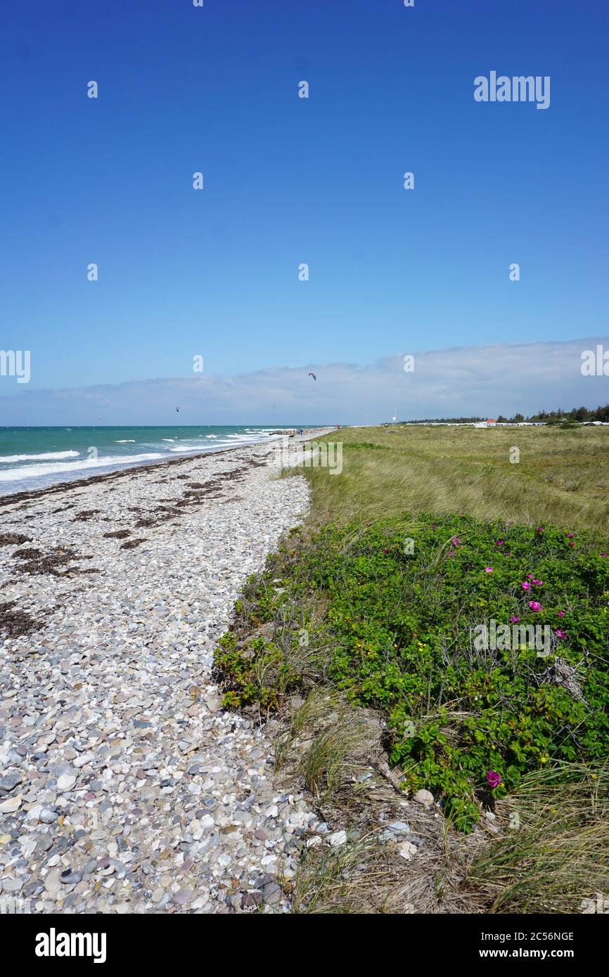 Vertical shot of wavy ocean coast line with stony beach and green grass ...
