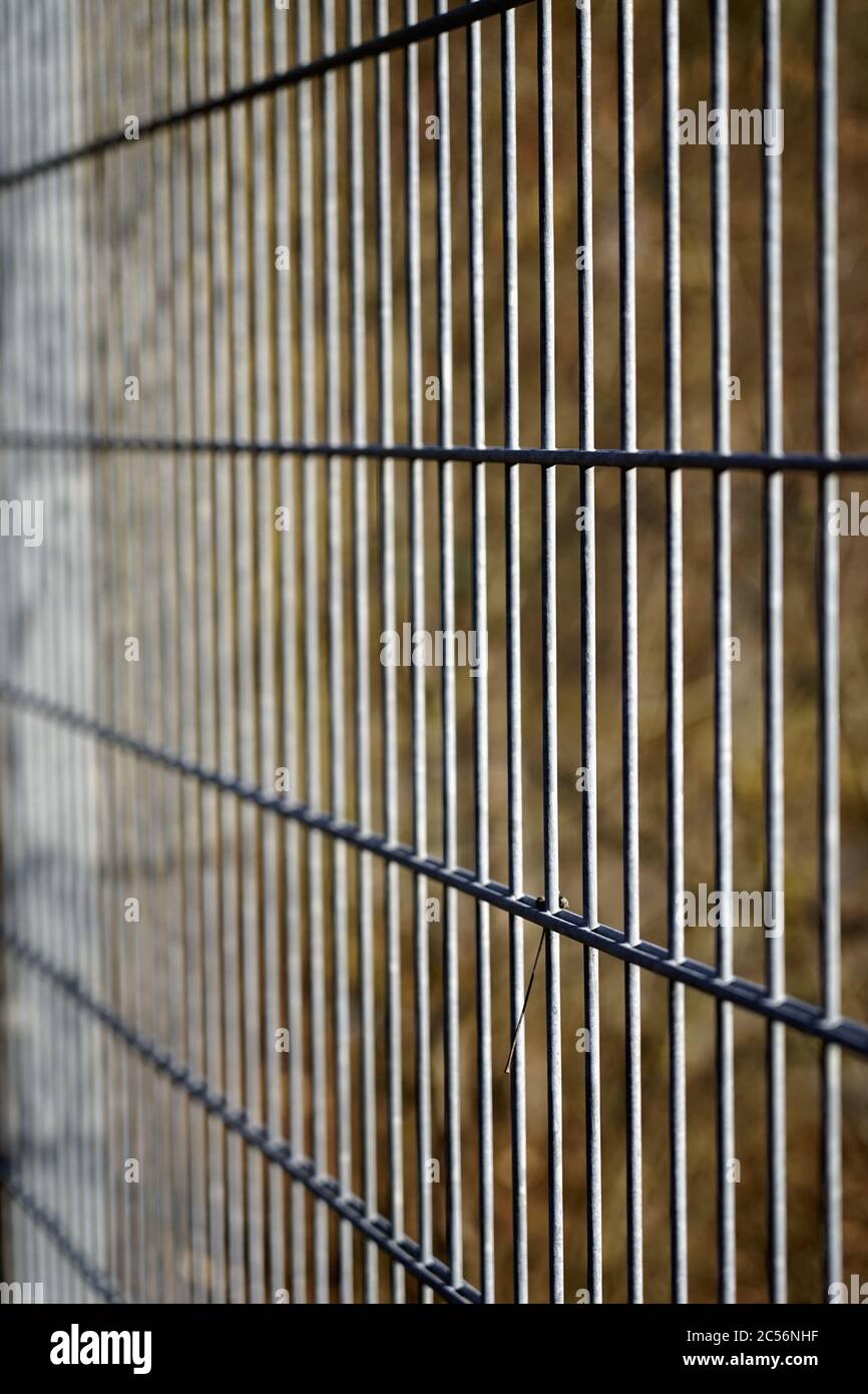 Metal mesh fence hi-res stock photography and images - Alamy