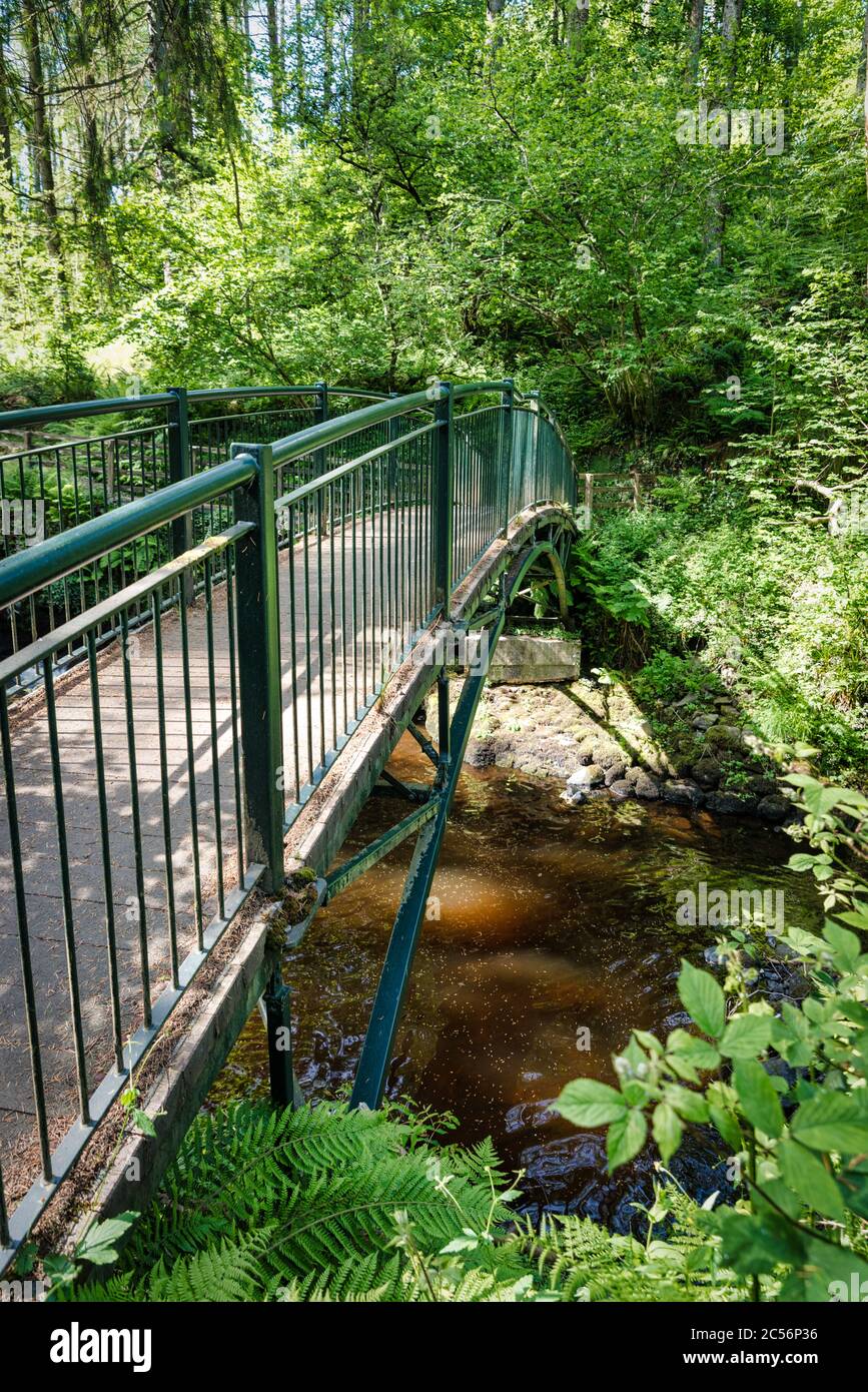 Glenariff forest park bridge hi-res stock photography and images - Alamy