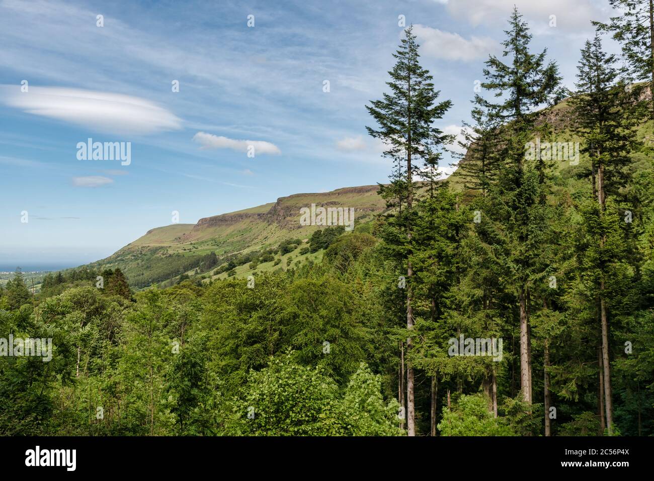 Dark forest ireland hi-res stock photography and images - Alamy