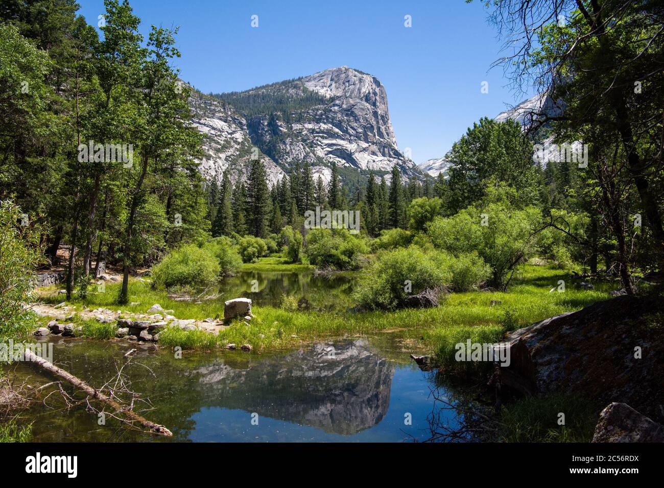 Half dome yosemite river trees hi-res stock photography and images - Alamy