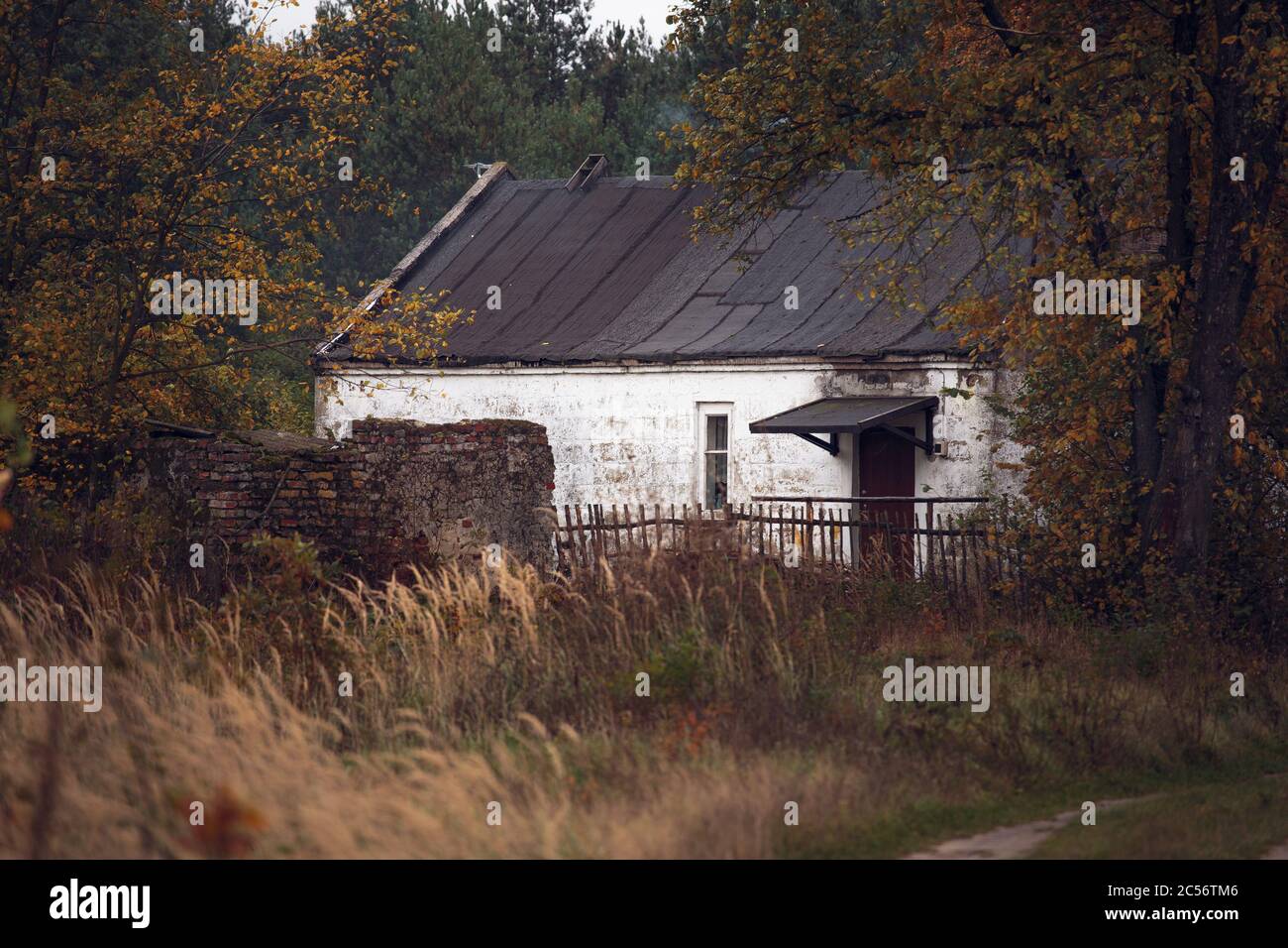 Old rustic house in the woods. Vintage abandoned building on the ...