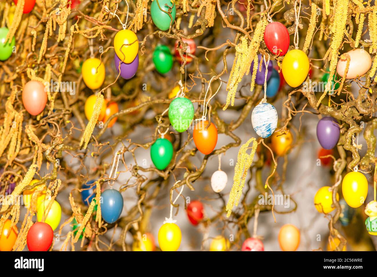 Hazel love hi-res stock photography and images - Alamy
