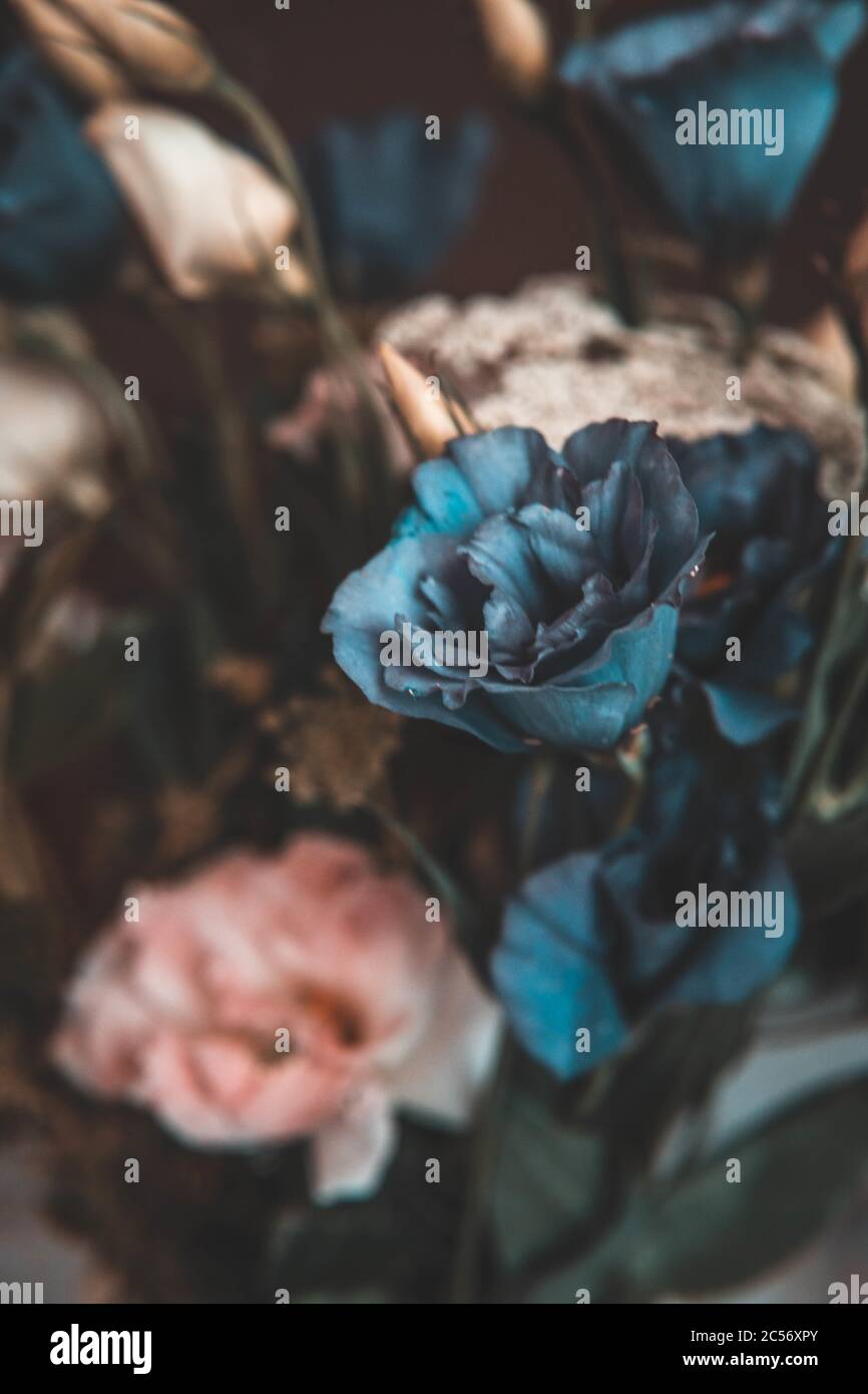 Beautiful flower bouquet in vintage colors Stock Photo - Alamy