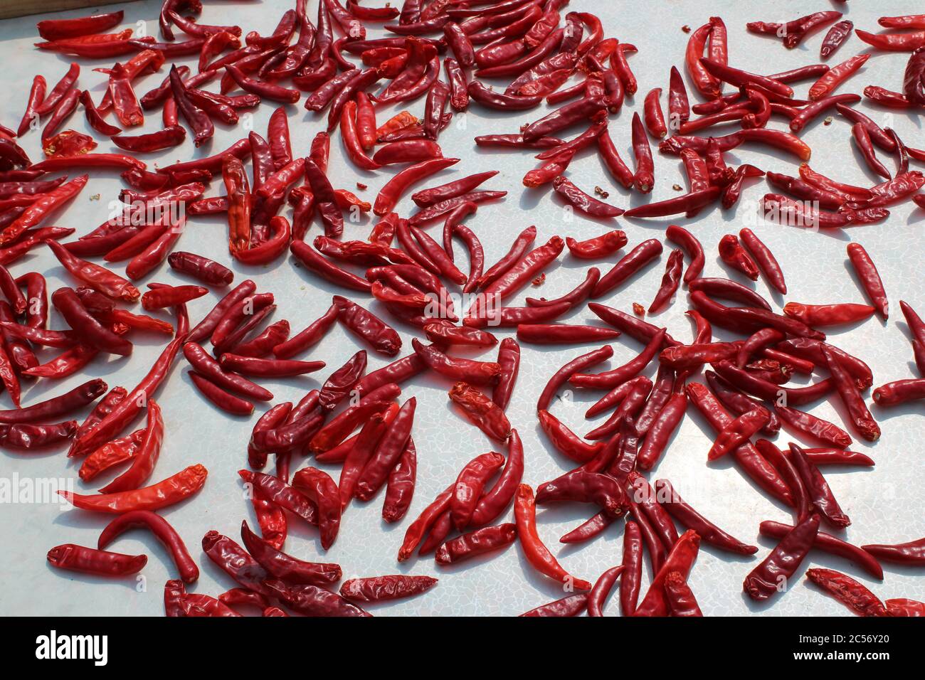 Red chili peppers drying in the sun on an outdoor pallet Stock Photo ...