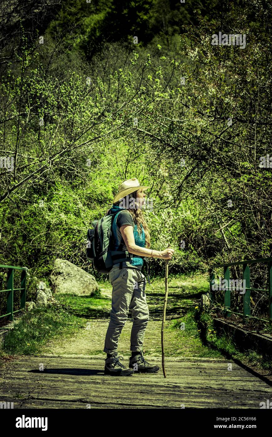 Summer path pathway natural nature stroll strolling hike hiking hi-res ...