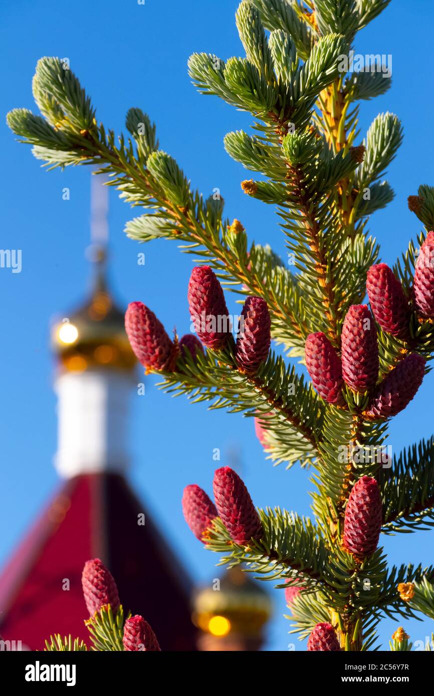 Red dome cones hi-res stock photography and images - Alamy