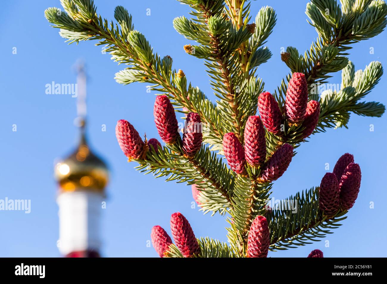 Dome cones hi-res stock photography and images - Alamy