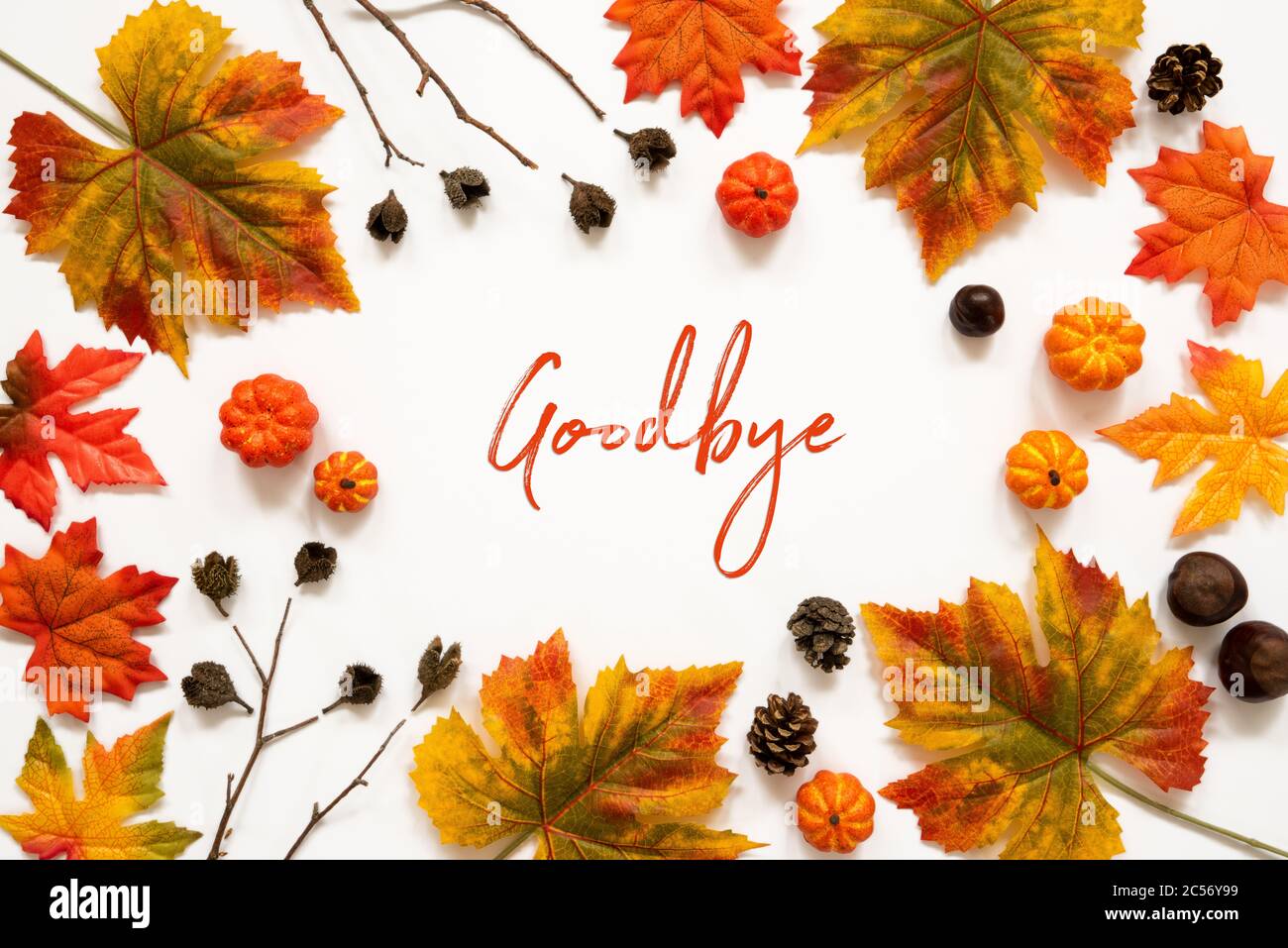 Bright Colorful Autumn Leaf Decoration, English Text Goodbye Stock ...