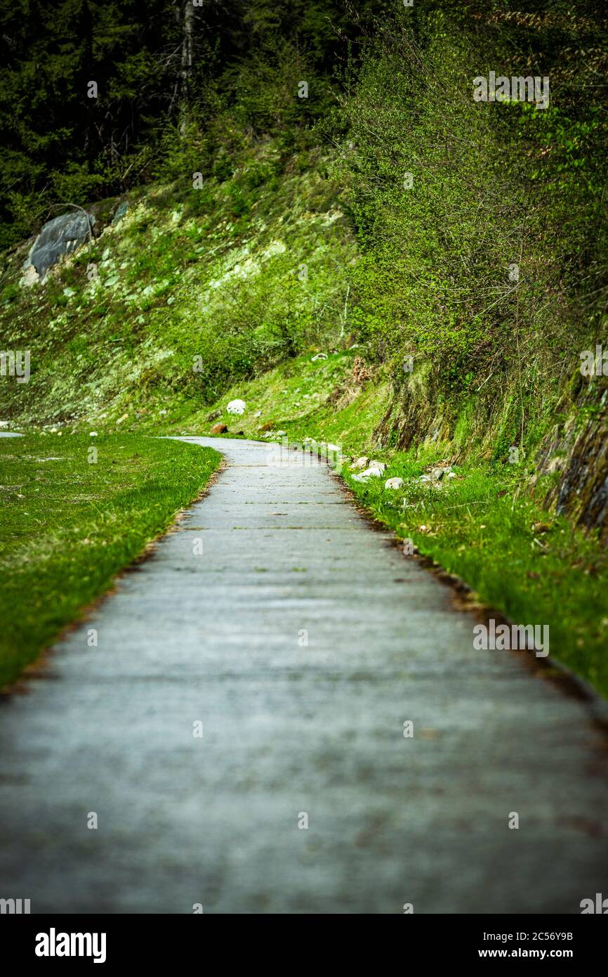 Hiking trail through beautiful natural landscape Stock Photo - Alamy