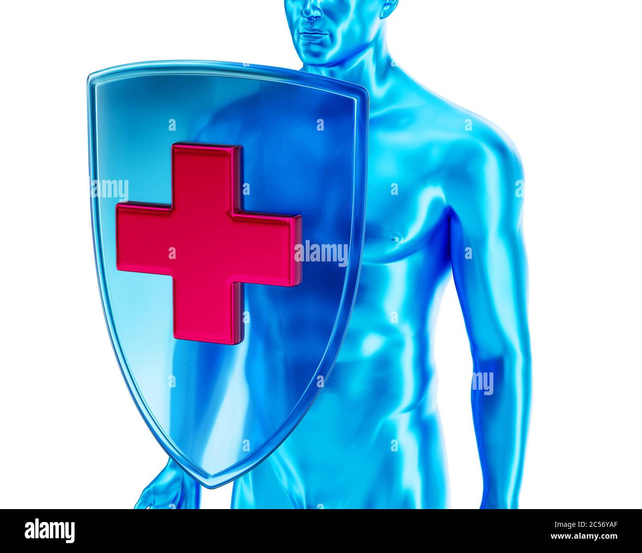 Immune System Protection Against Viruses And Bacterias Humans Shield