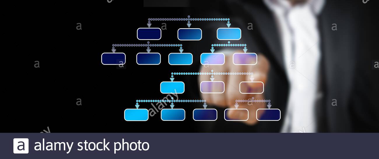 Organogram High Resolution Stock Photography and Images - Alamy