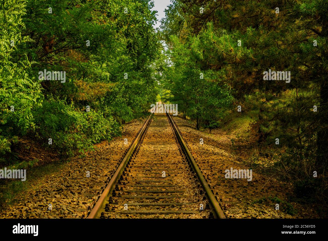 Unused railroad tracks hi-res stock photography and images - Alamy