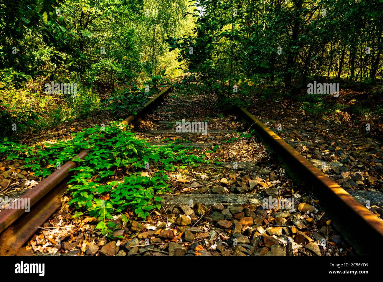Unused railroad tracks hi-res stock photography and images - Alamy