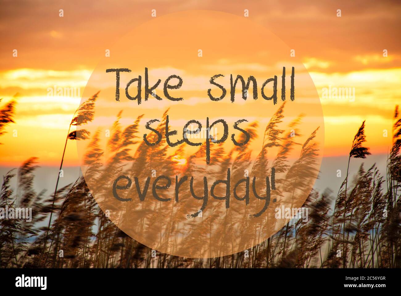 Take grass hi-res stock photography and images - Alamy