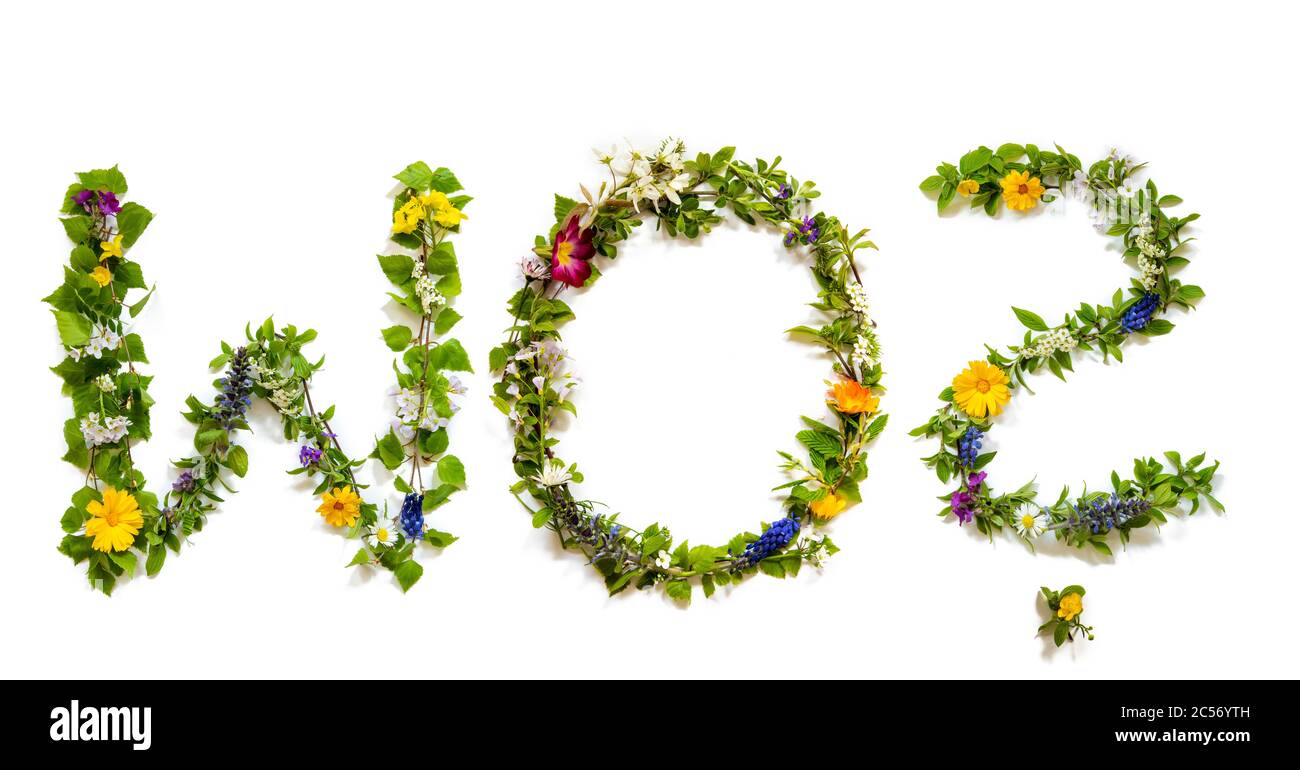 Flower And Blossom Letter Building Word Wo Means Where Stock Photo - Alamy