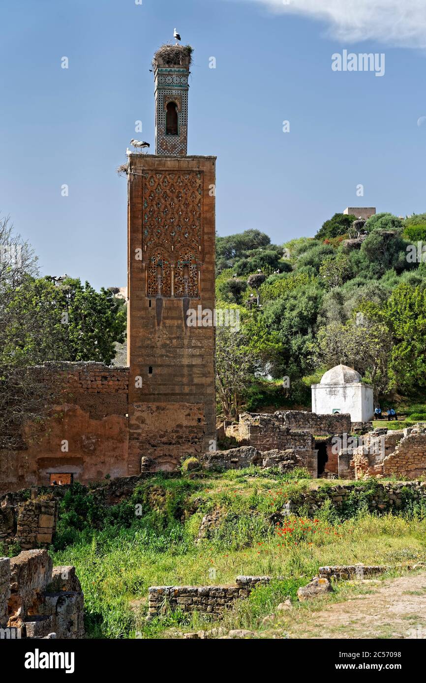 Andalusian Gardens / Chellah Necropolis, Rabat, Morocco Stock Photo - Alamy