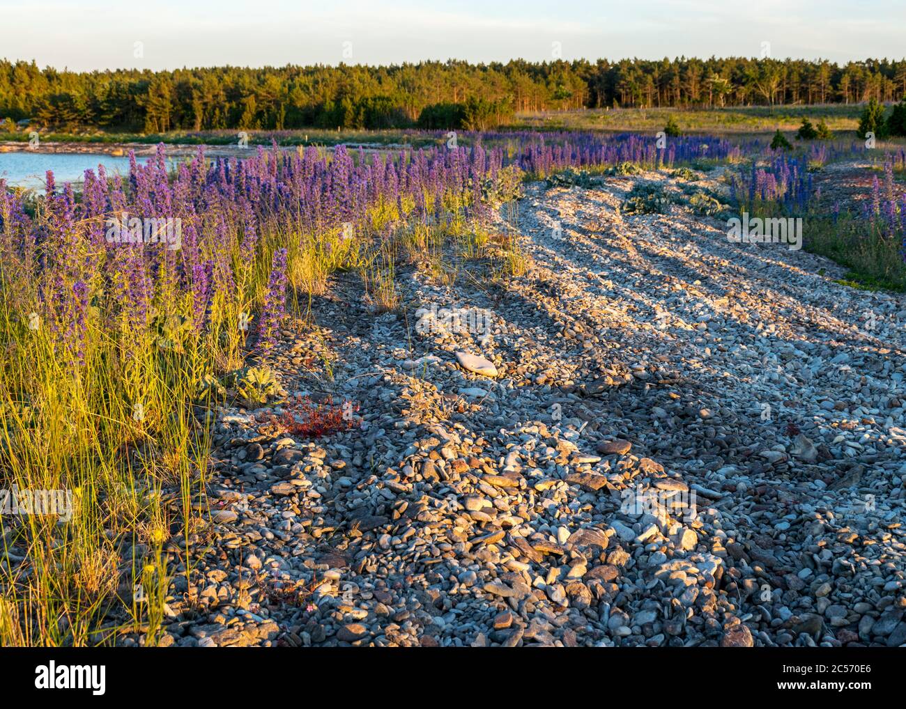 beautiful sunset landscape from a traditional rocky beach on the island ...