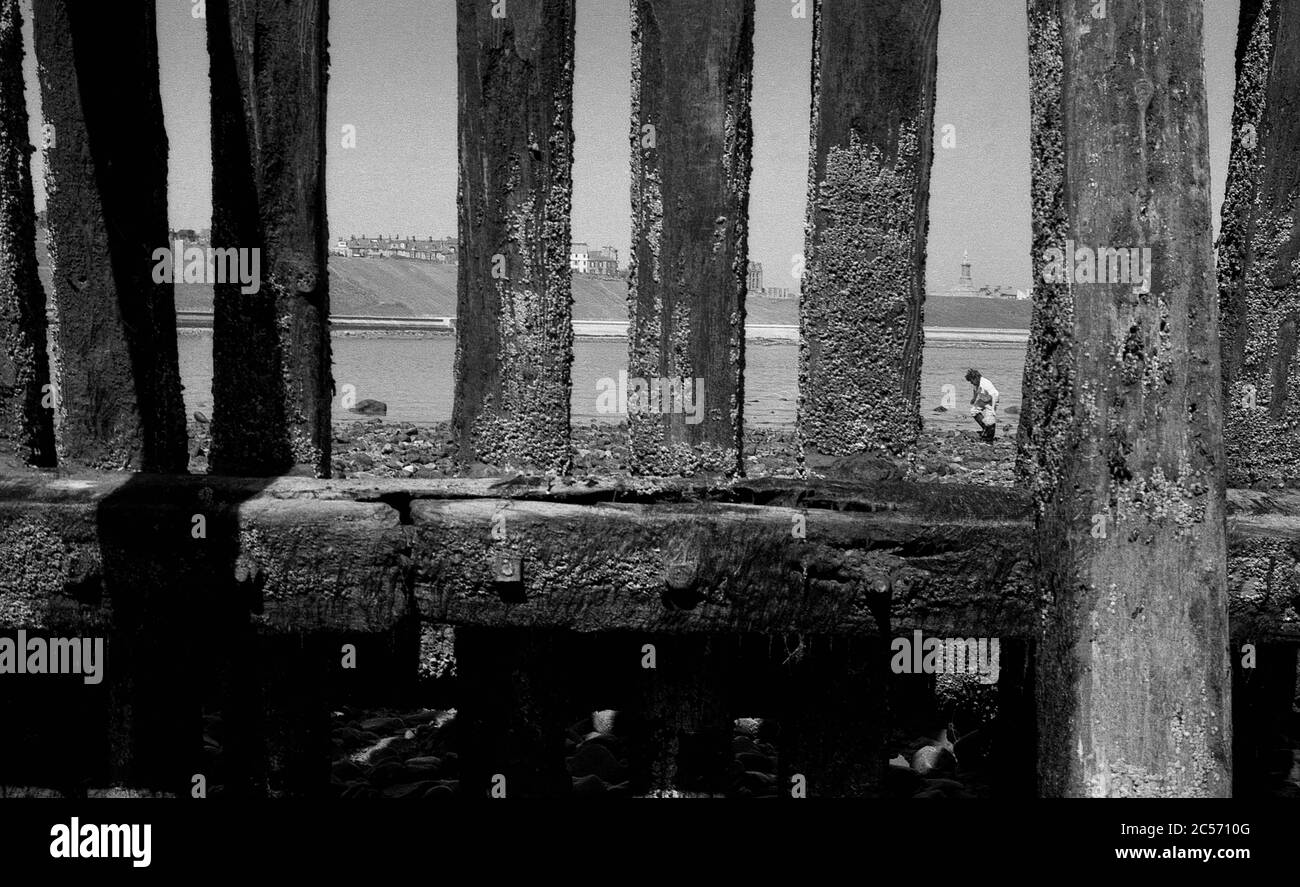 River shells Black and White Stock Photos & Images - Alamy