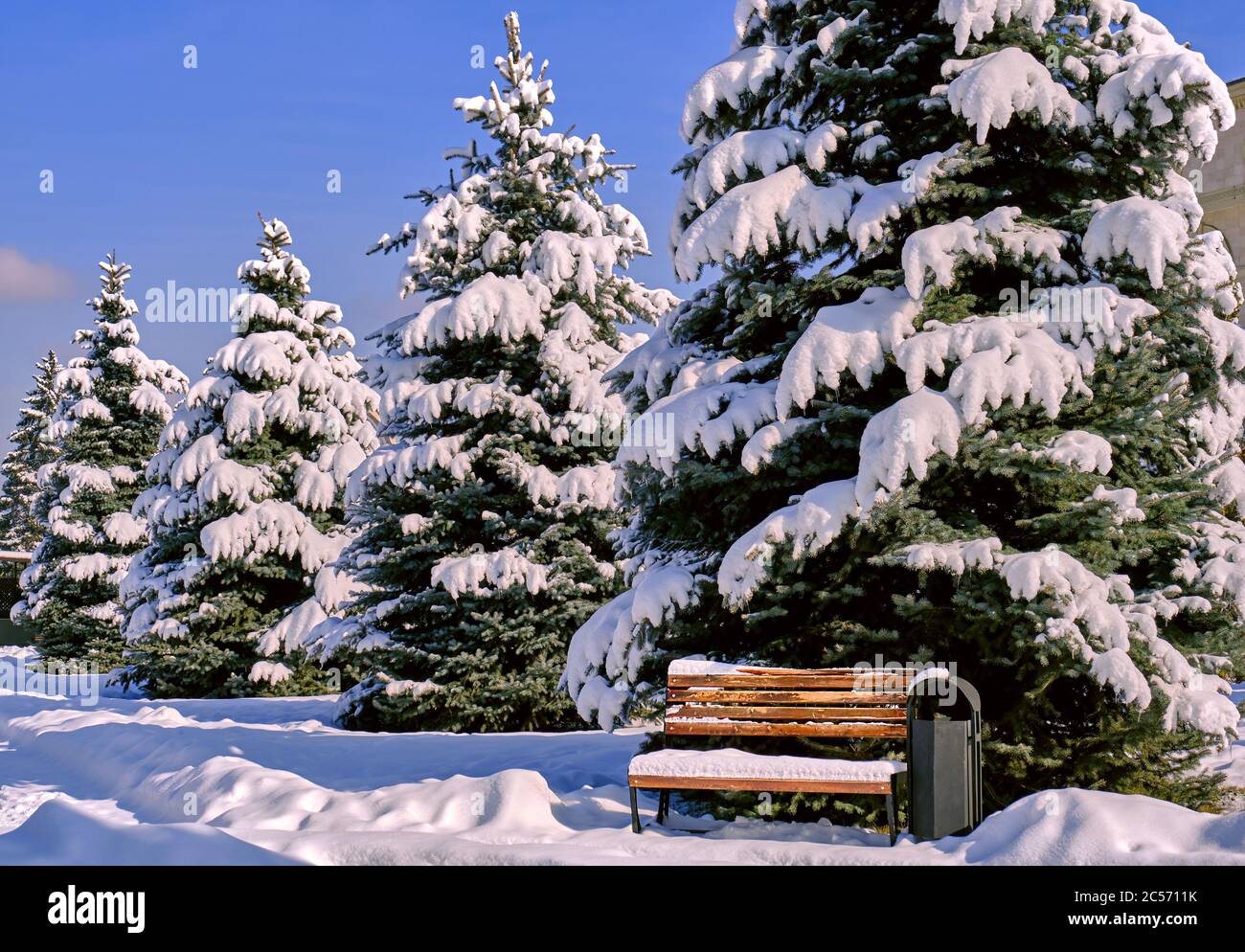 Covered with snow wooden bench in winter public park after snowfall ...
