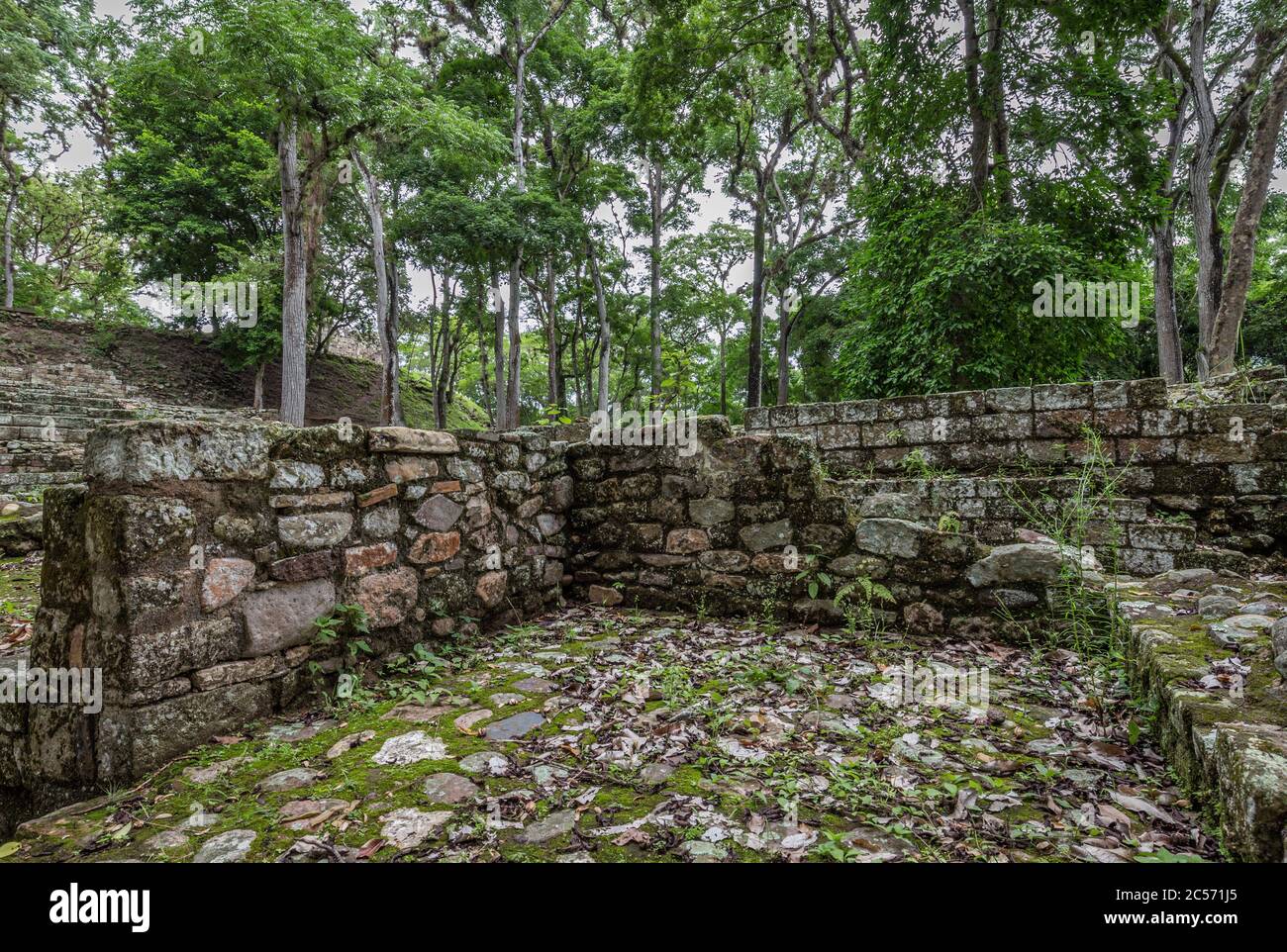 Central America, Honduras, Copan Ruins, Maya Stock Photo - Alamy