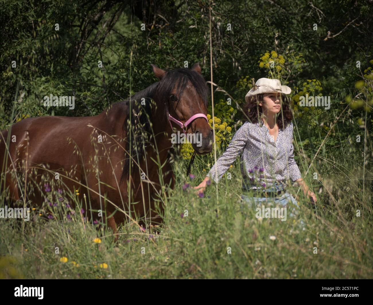 Female rider wearing a western hat and her andalusian mare walking in ...