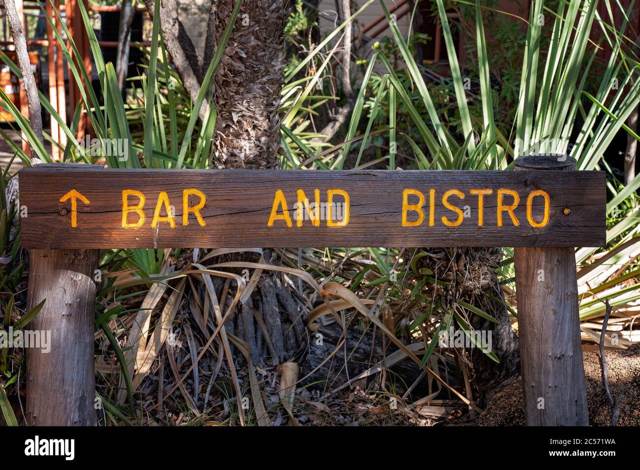 Bar and bistro direction sign with arrow pointing to pathway at ...