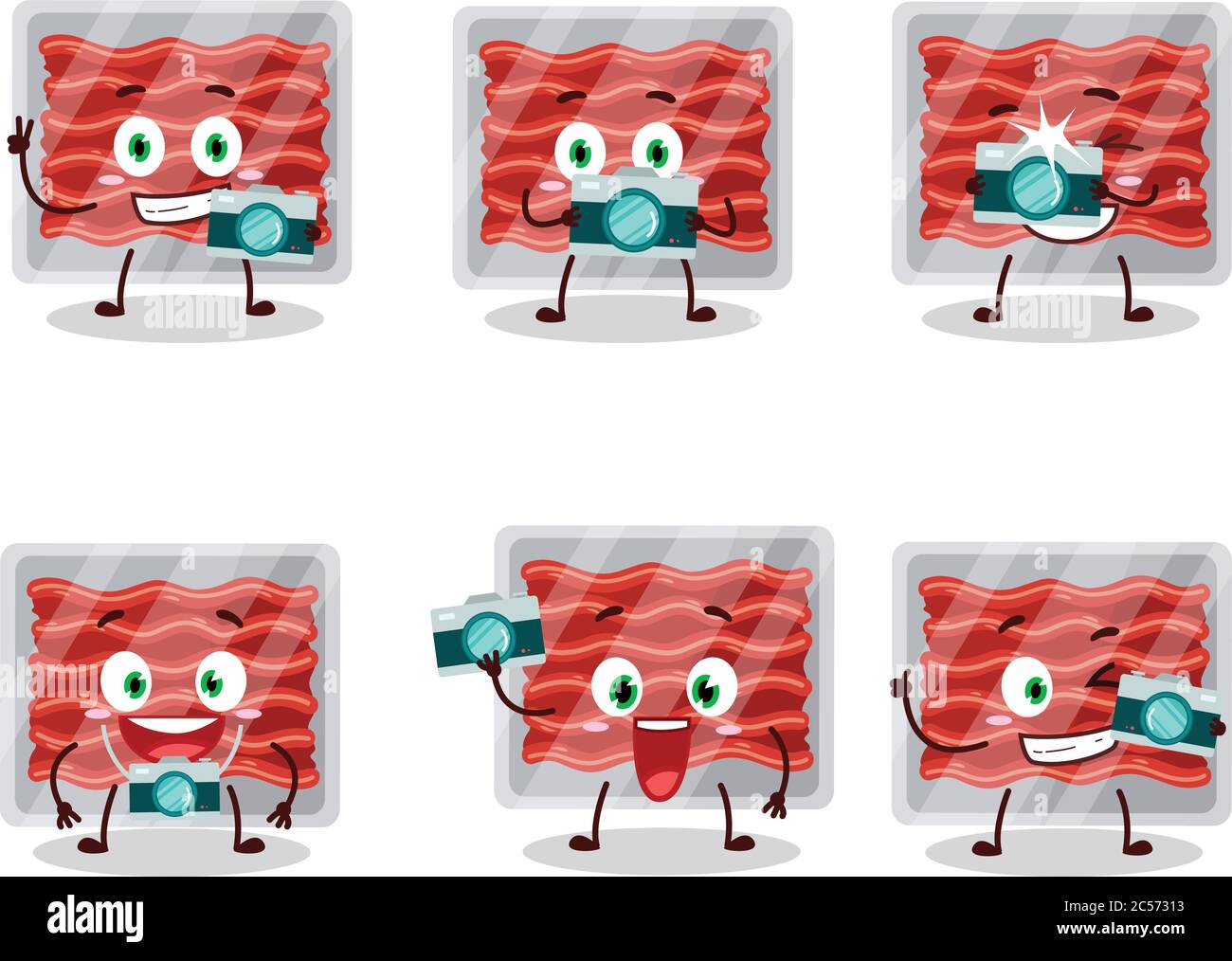 Photographer profession emoticon with ground meat cartoon character ...