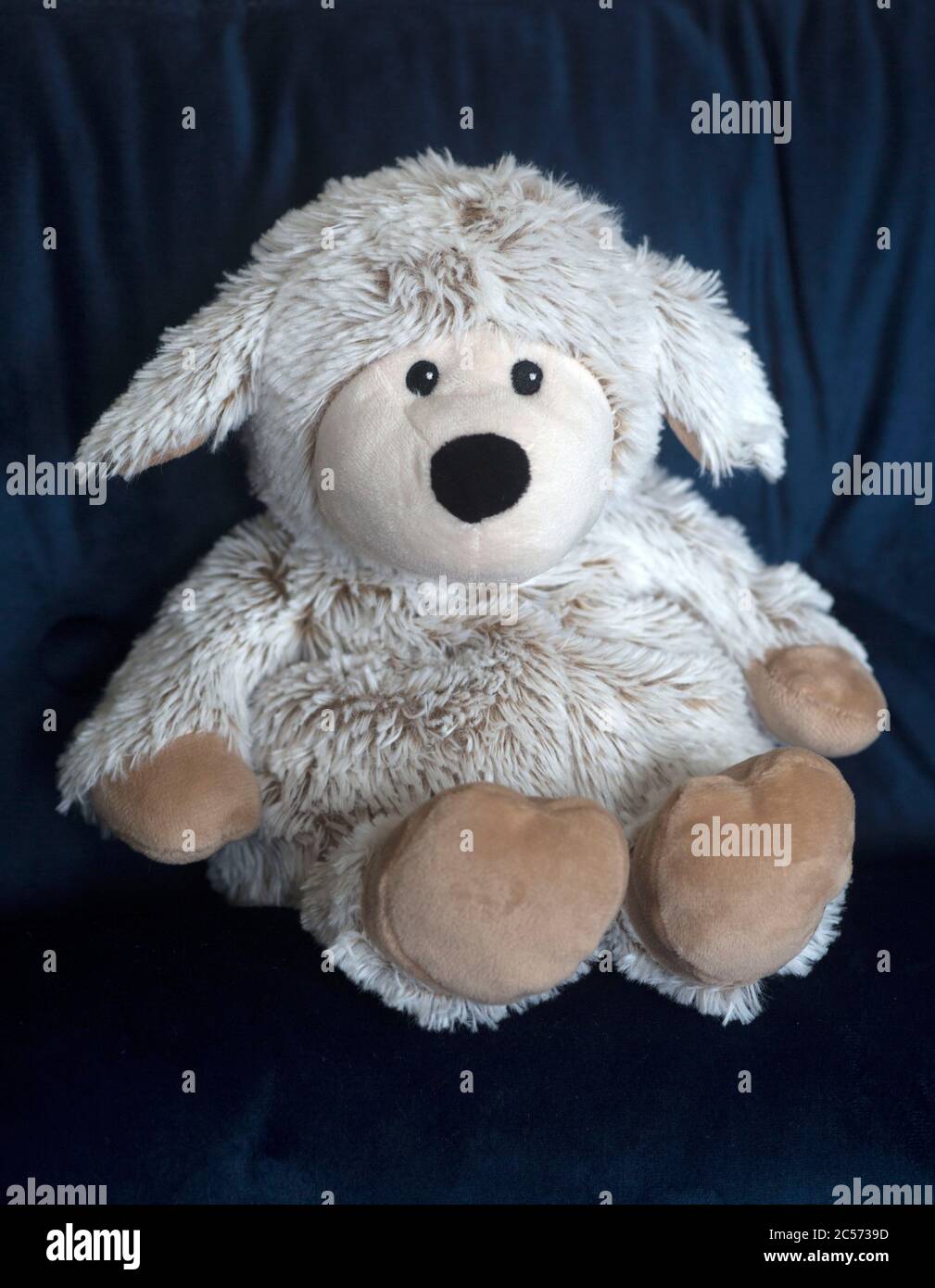 Fluffy toy dog Stock Photo - Alamy