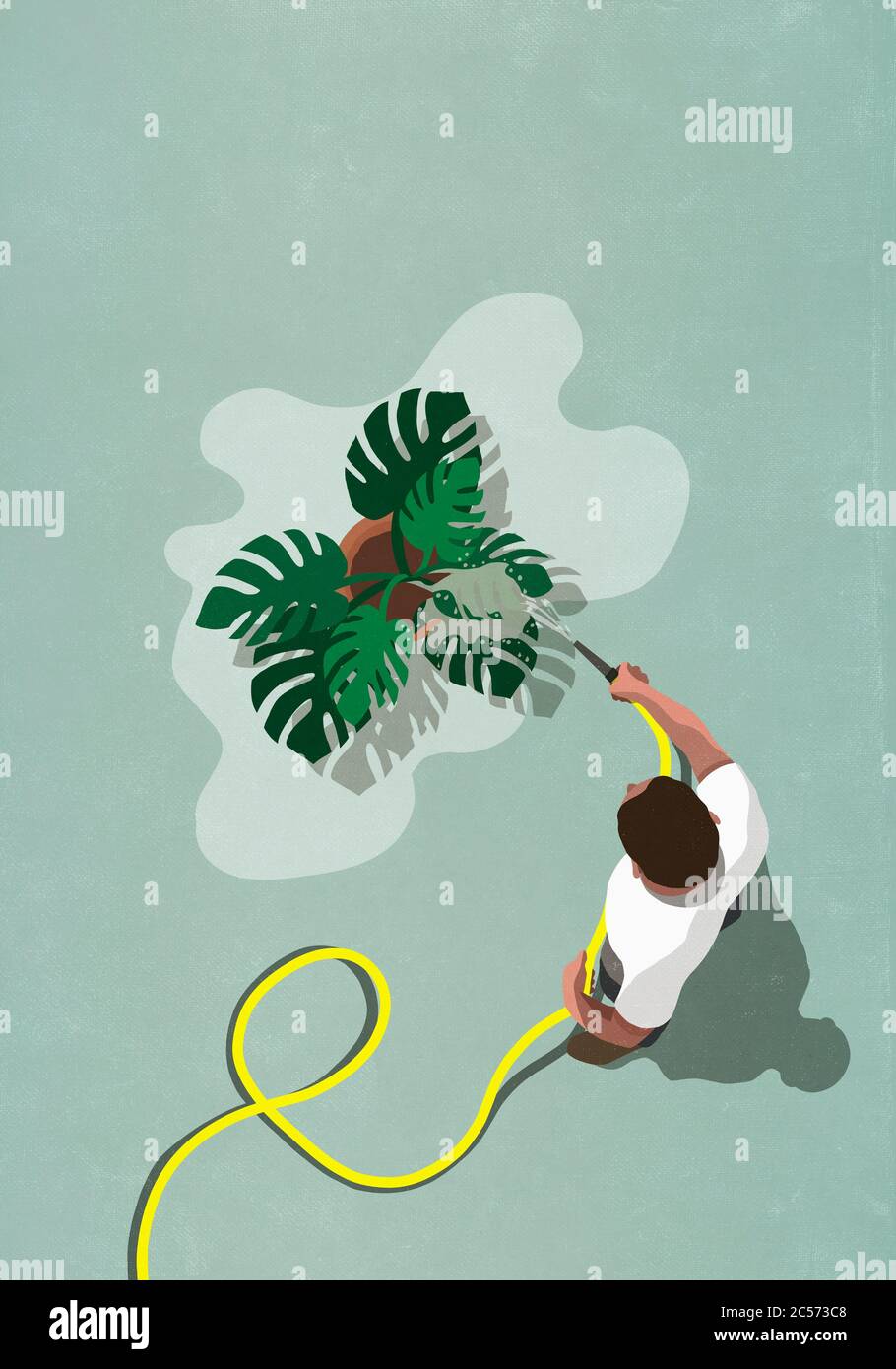 Man with hose watering tropical plant Stock Photo - Alamy