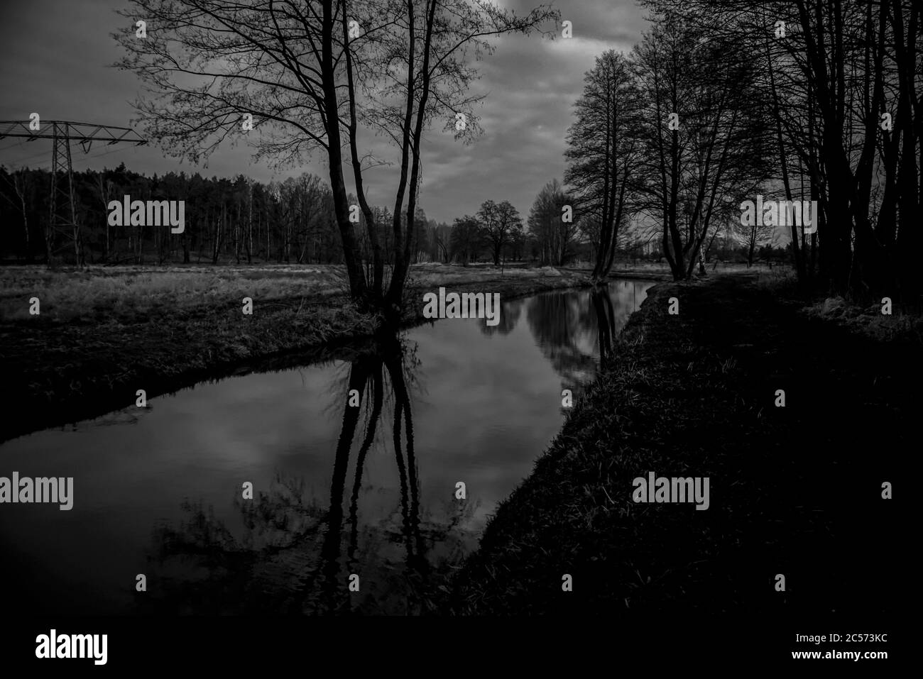 Forms of vegetation Black and White Stock Photos & Images - Alamy